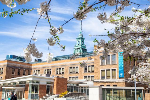 Alumnae/i Events | Simmons University