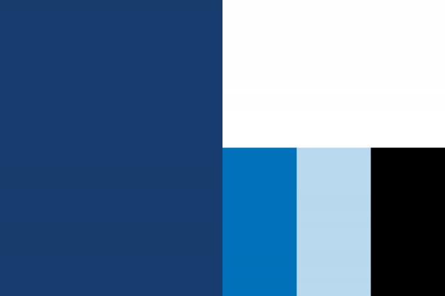 The Simmons Brand | Simmons University