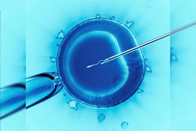 Elizabeth Carr ’04, First American-born IVF Baby, Responds to Alabama’s ...