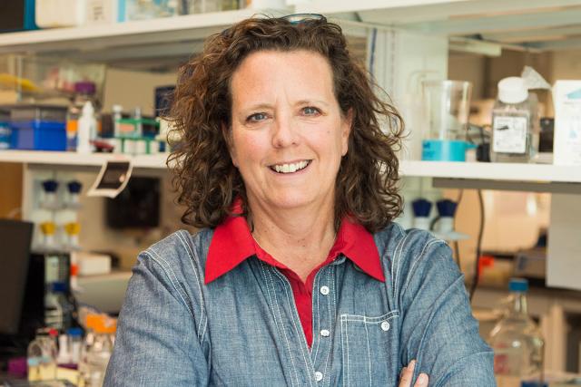 Professor Jennifer Roecklein-Canfield Selected as a 2024 Fellow of the ...