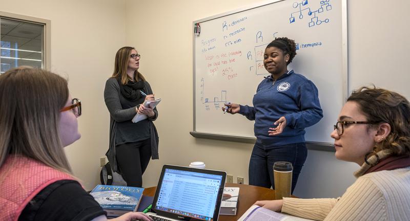 Homepage | Simmons University