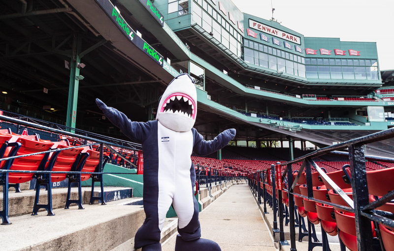 Homepage | Simmons University