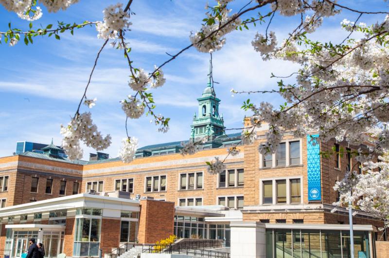 Alumnae/i Events | Simmons University