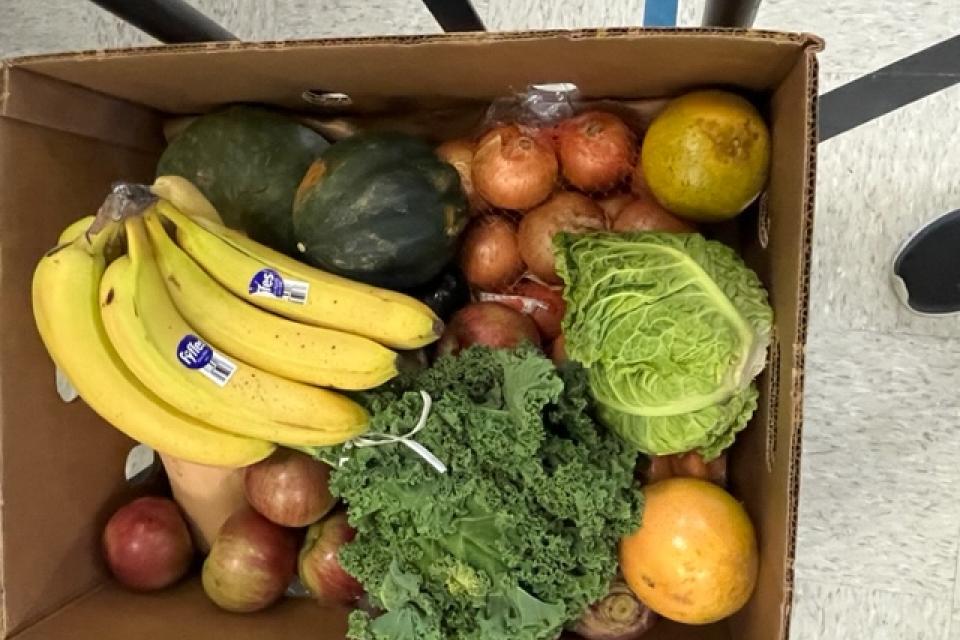 Simmons Social Work Student Veterans Help their Community Fight Food ...